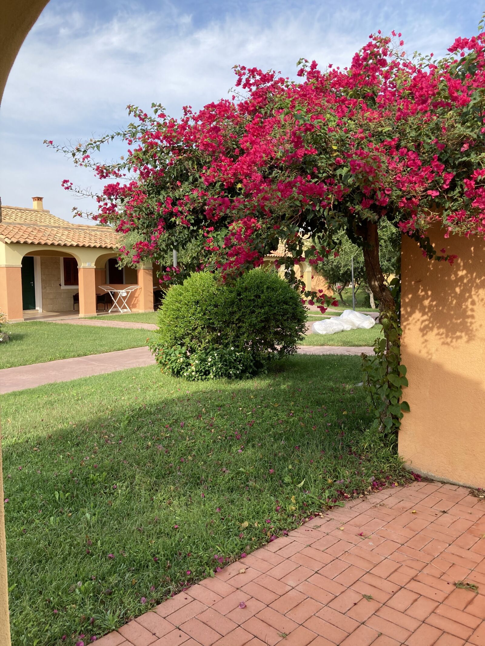 Apple iPhone SE (2nd generation) sample photo - iZUXfihHyo - ExploreCams