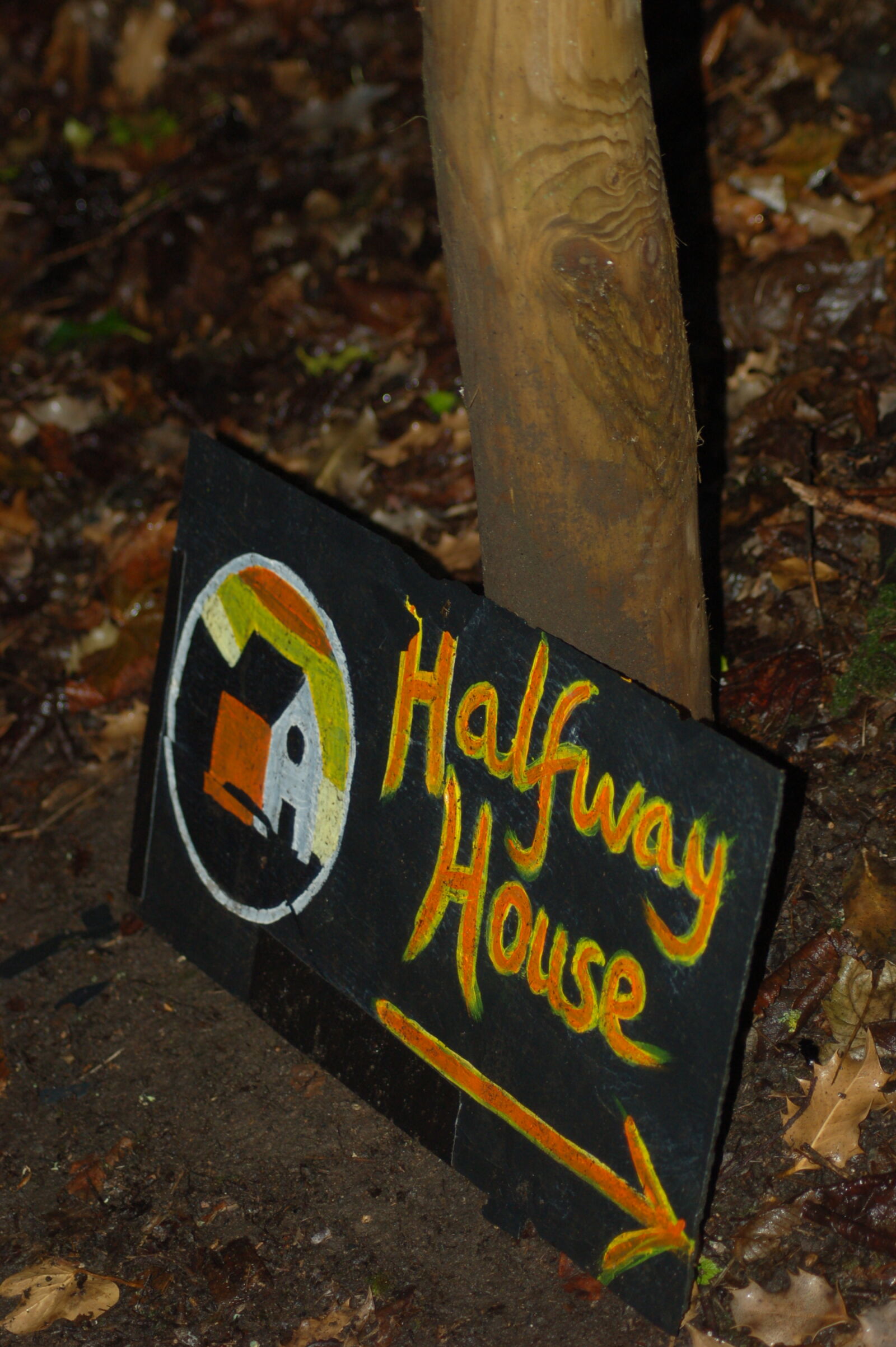 Nikon D50 sample photo - islWrtNjuN - ExploreCams