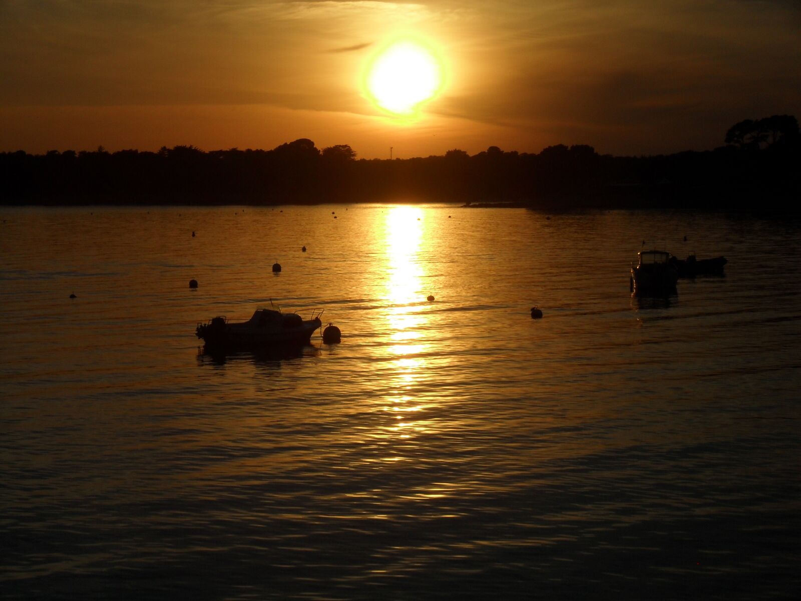 Samsung ES55,ES57 / VLUU ES55 / SL102 sample photo - nIFBPv9ASs ...