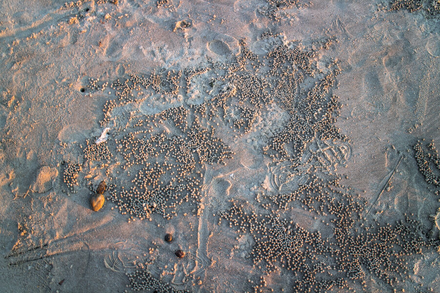 Canon EOS M2 sample photo - nRjKXlFgbk - ExploreCams