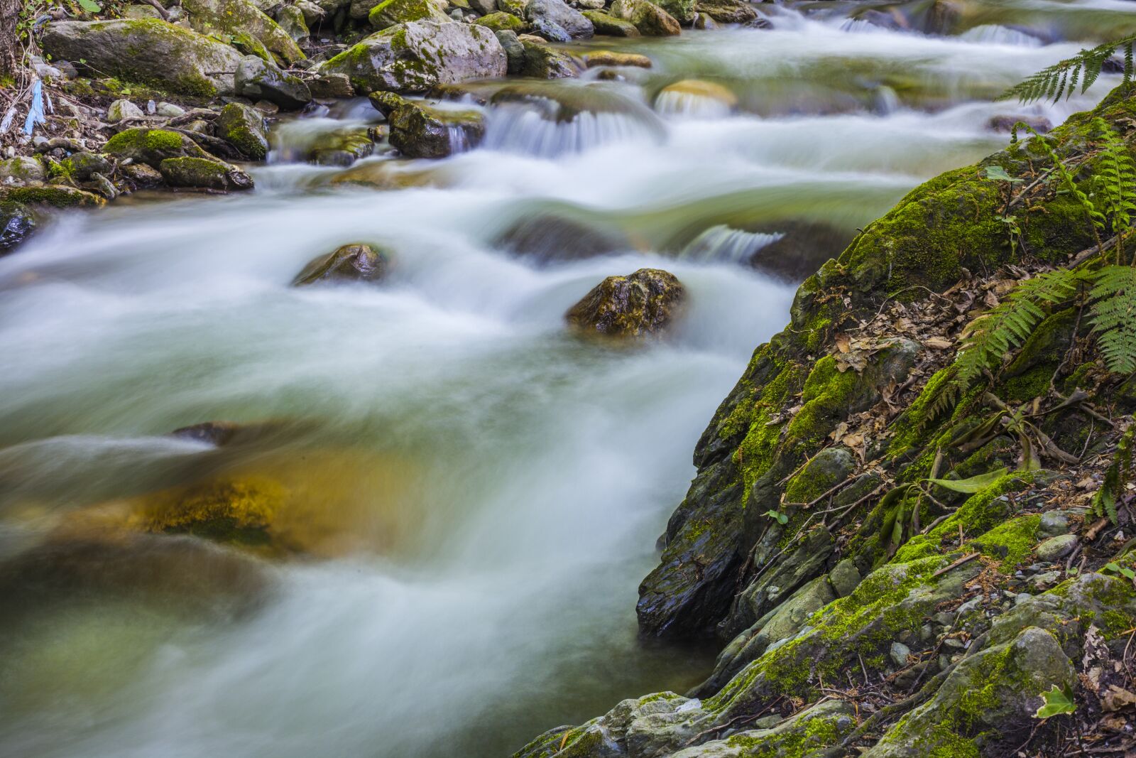 Canon Eos 5d Mark Ii Sample Photo Nvwtdfylpr Explorecams