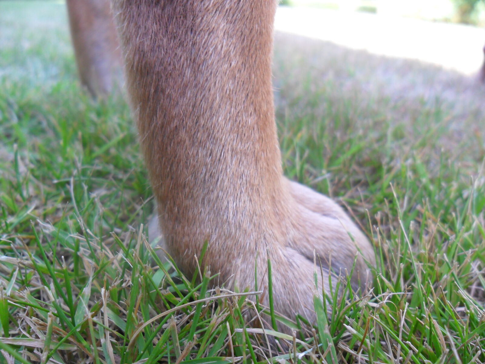 Samsung ES25, ES27 / VLUU ES25, ES27 / SL45 sample photo - oy9R3j5r8X - ExploreCams