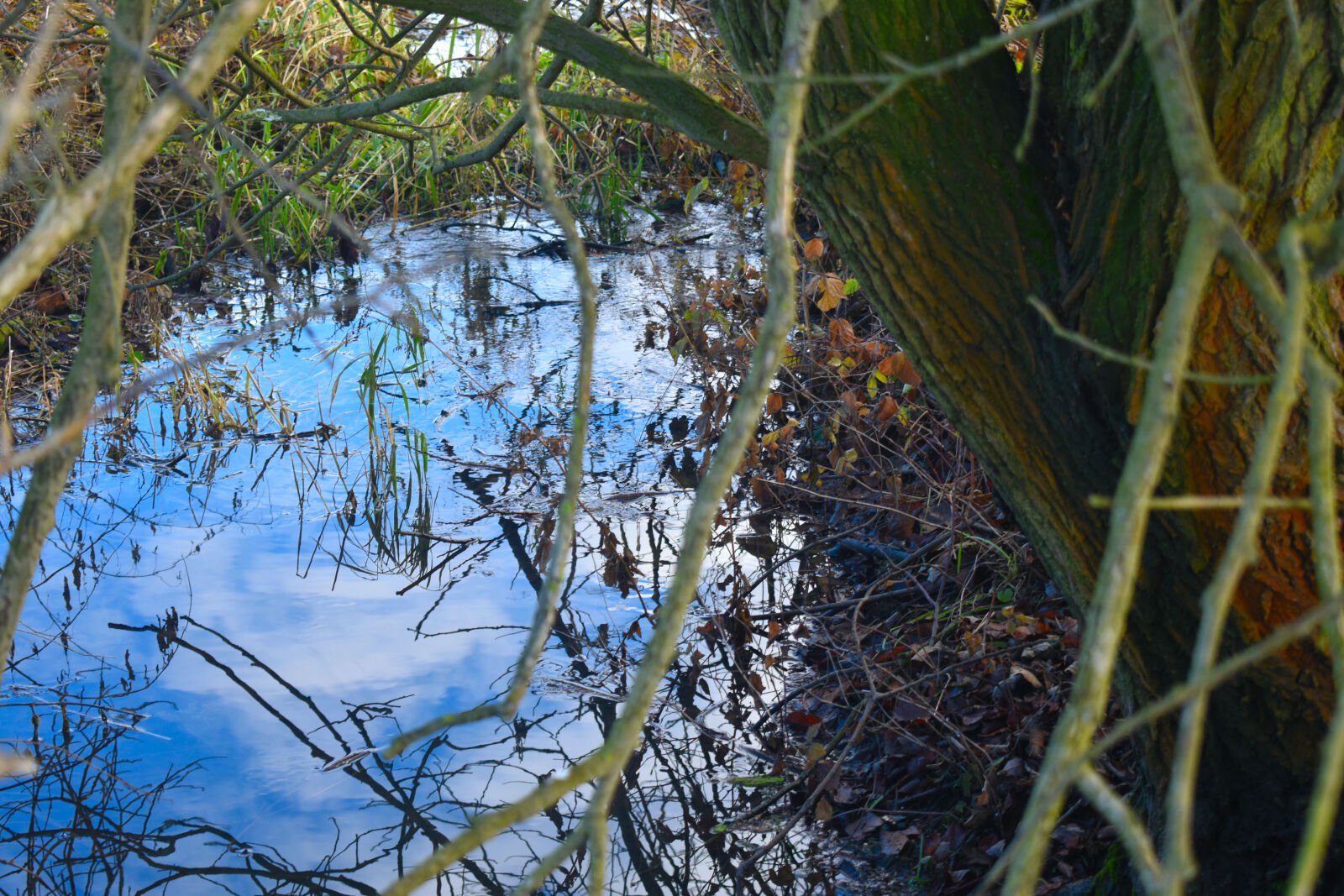 Nikon D3400 sample photo - q1uSMzCznO - ExploreCams
