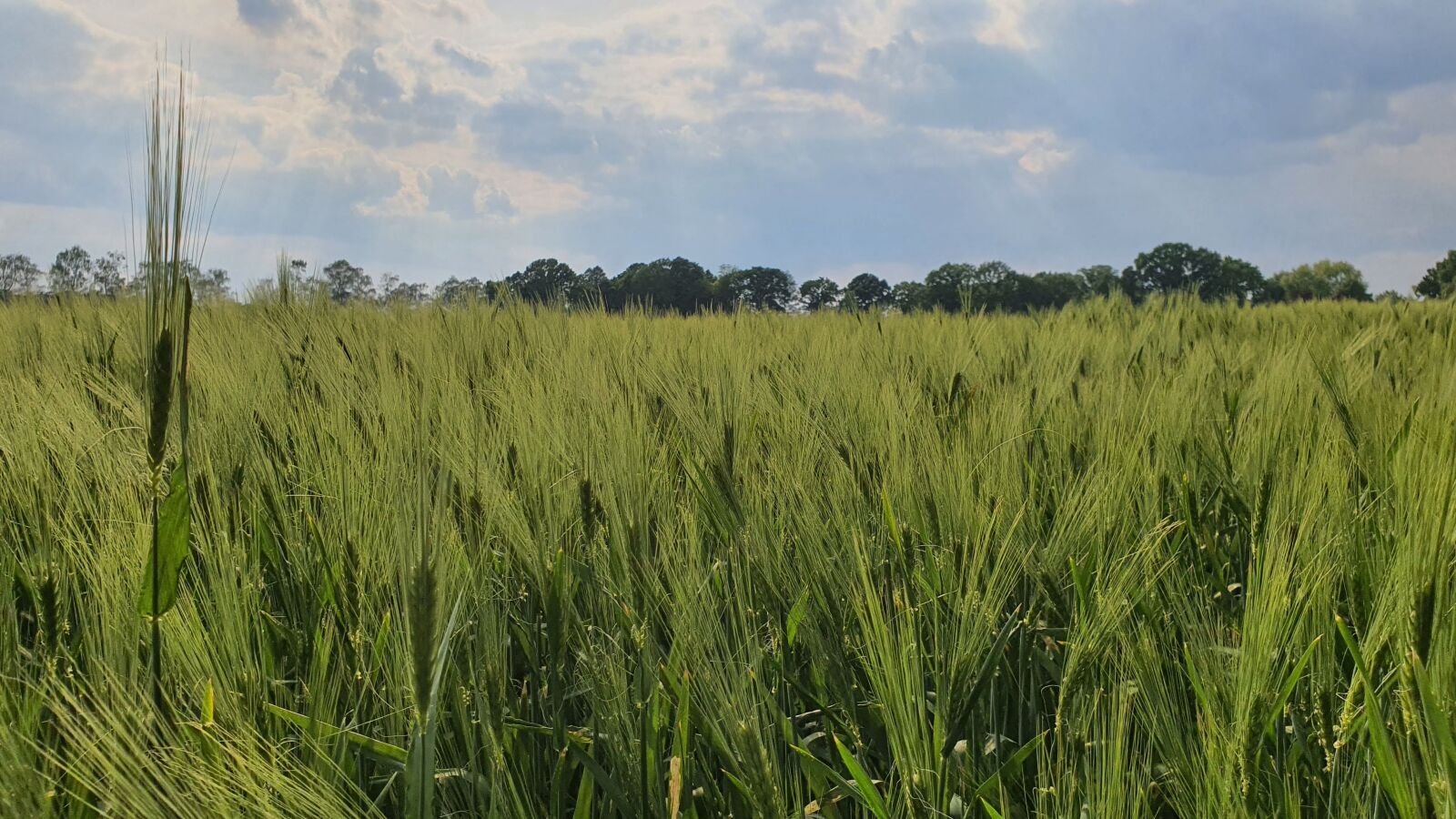 Samsung SM-N975F sample photo - thWWie3xJj - ExploreCams