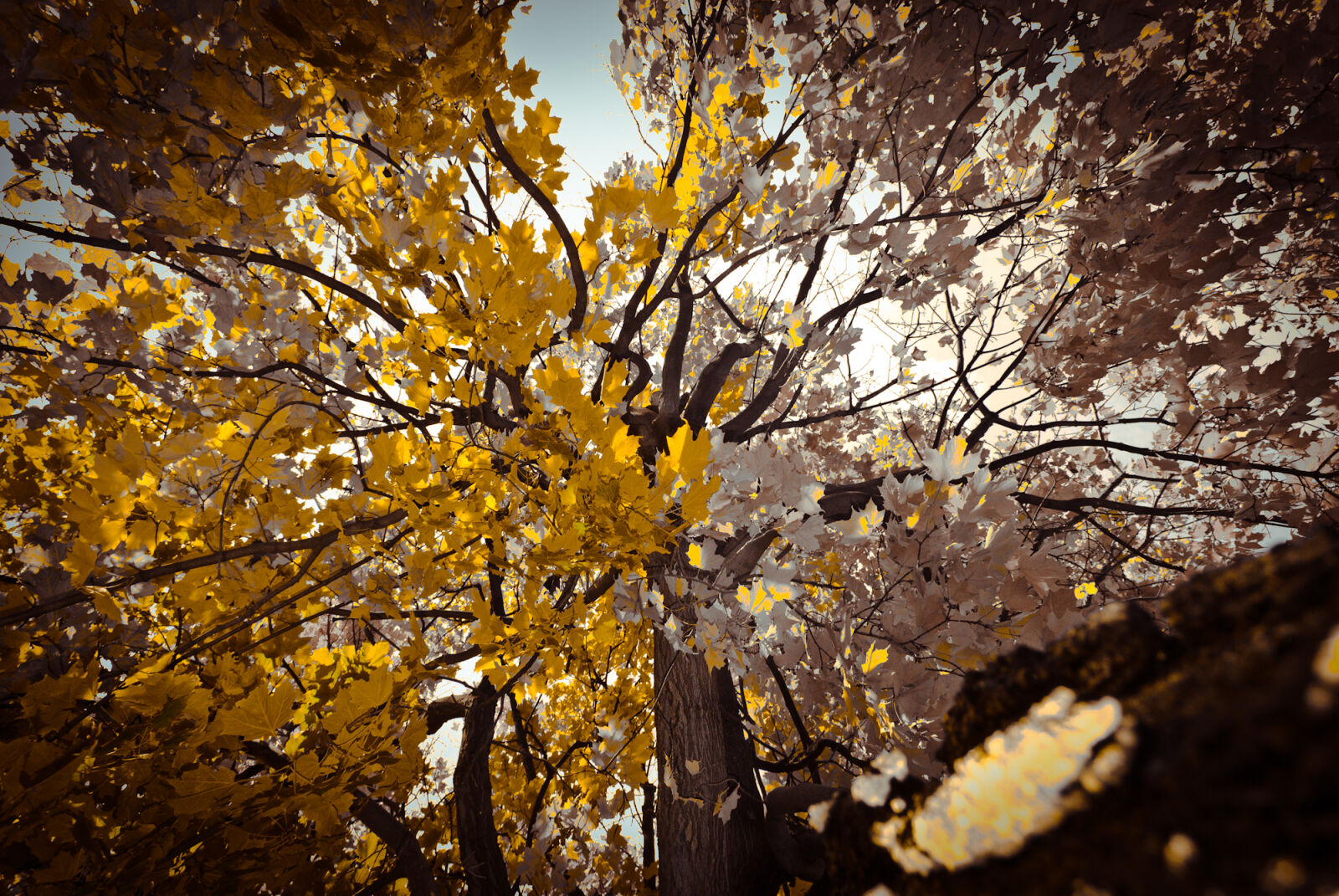 Nikon D200 sample photo - uLjyD7jZNY - ExploreCams