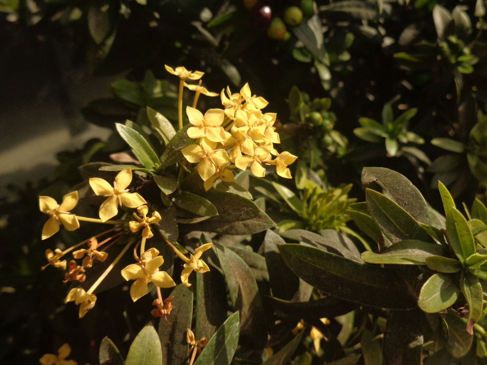 Sony Cyber-shot DSC-W730 sample photo - uUeK4y3j8r - ExploreCams