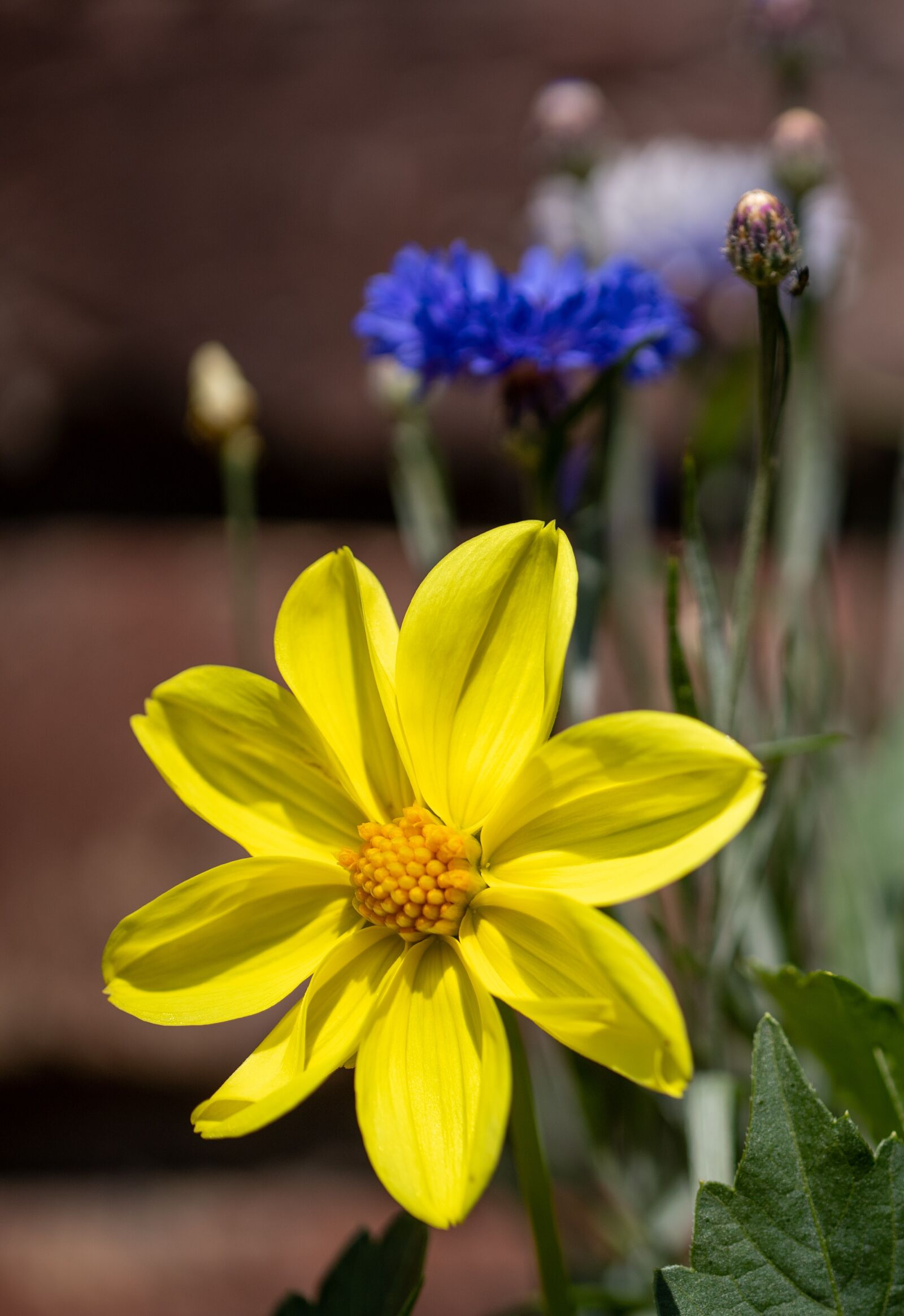 Canon EOS RP Sample Photo W6J4SSslF0 ExploreCams Canon EOS RP Sample Photo W6J4SSslF0 ExploreCams