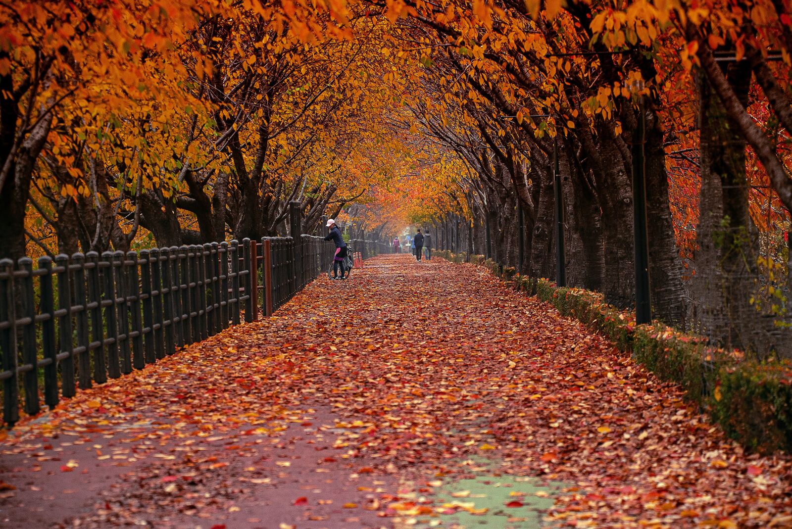 Sony a7S II sample photo - w8WLizcbqa - ExploreCams