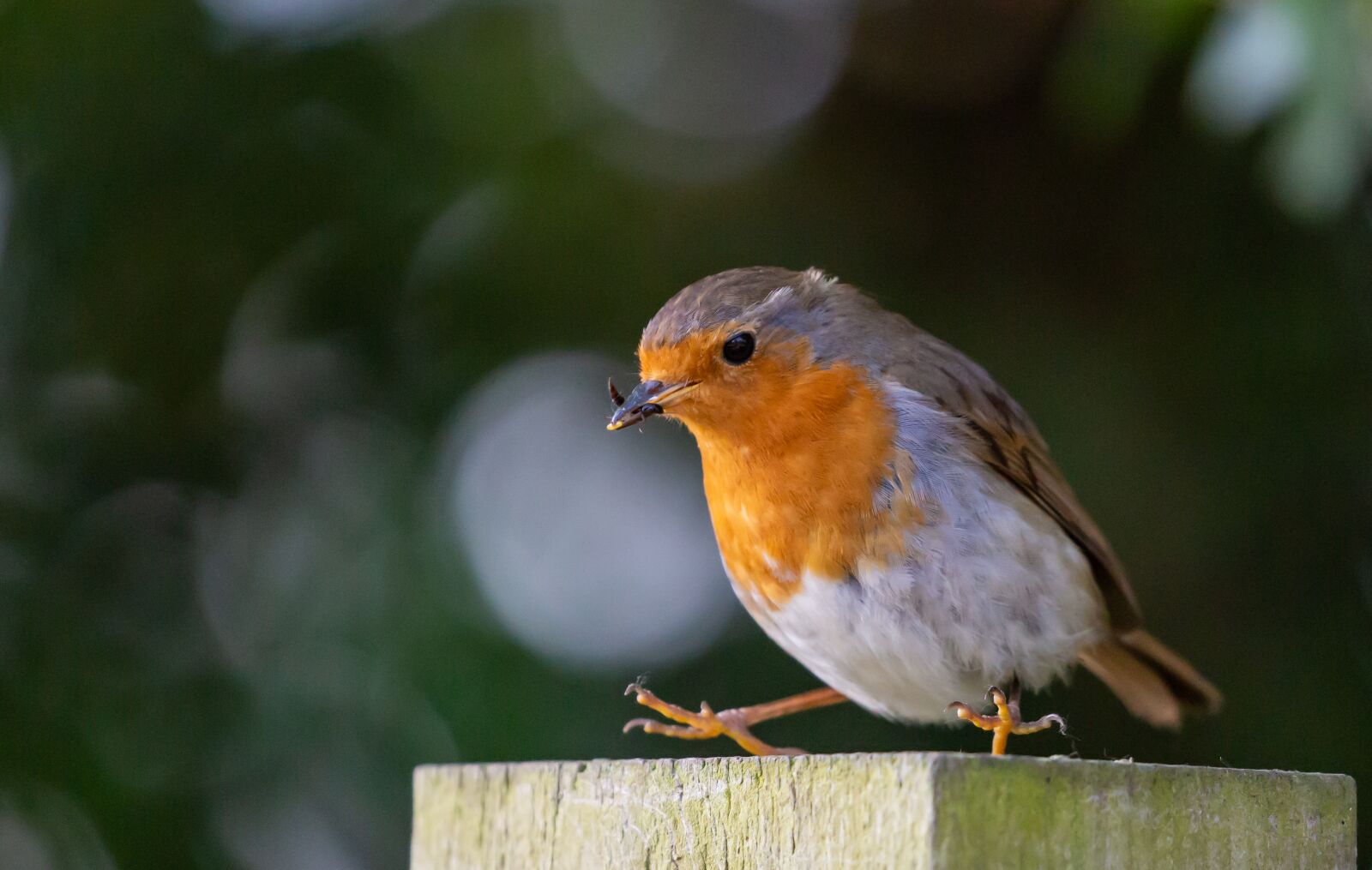 Canon EOS 5D Mark III sample photo - wxUDDebA4Y - ExploreCams