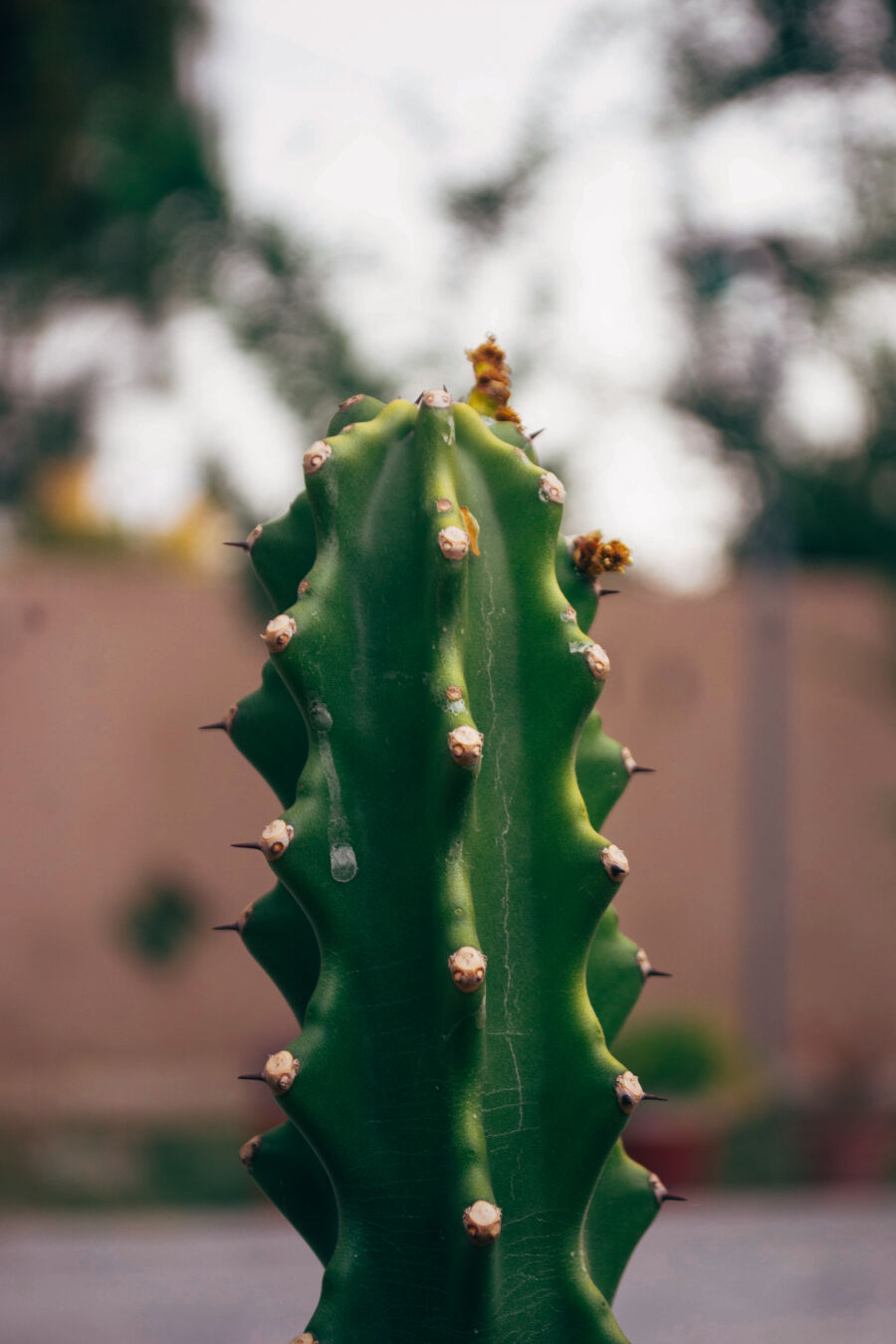 Nikon D3100 sample photo - xBq5csDdJA - ExploreCams