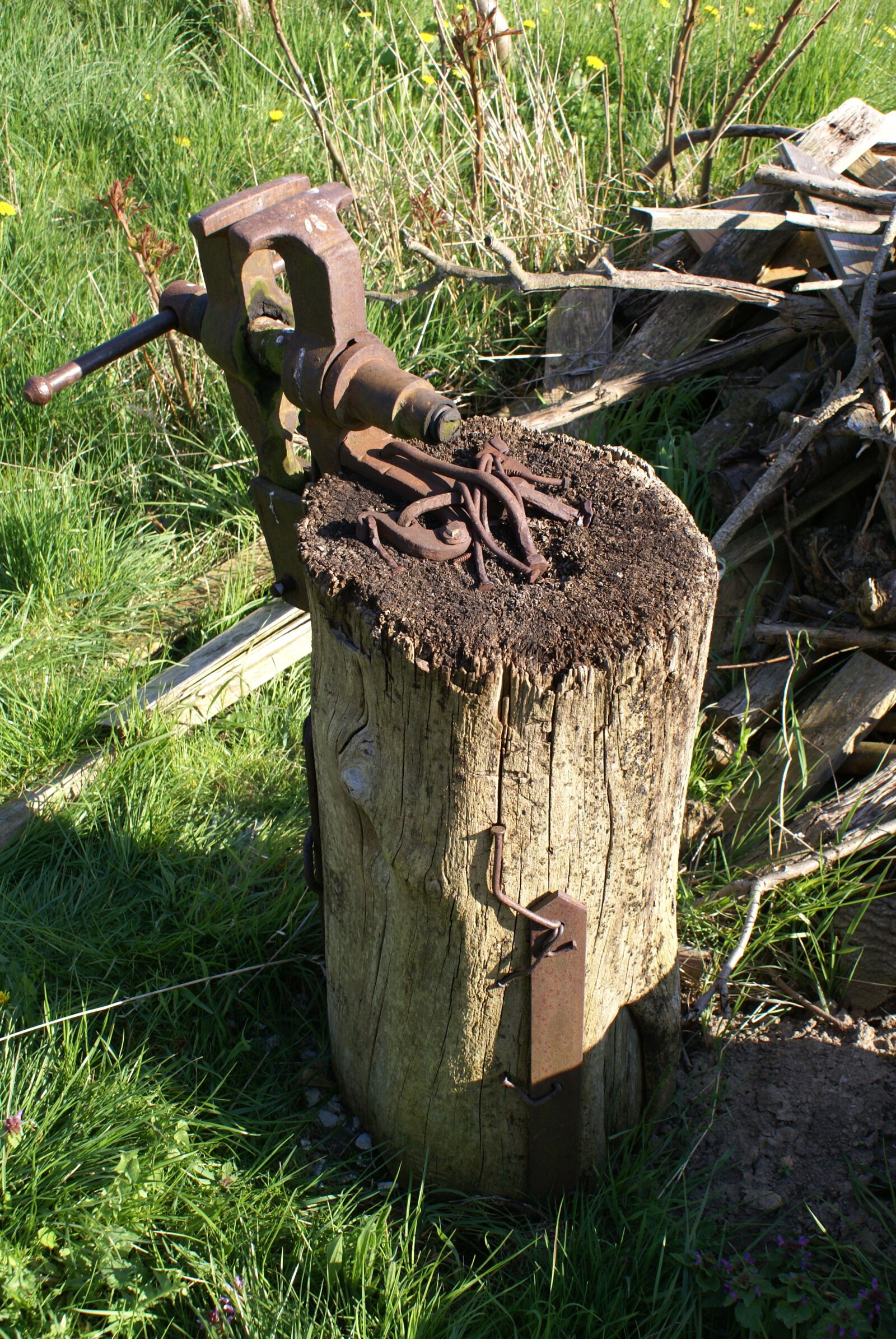 Sony Alpha DSLR-A100 sample photo - xEkIrvU9kE - ExploreCams